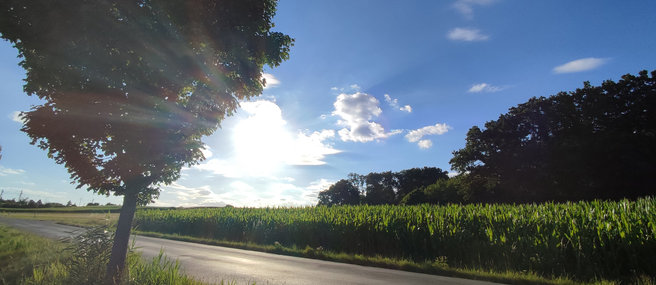 Gemeinde Veitsbronn